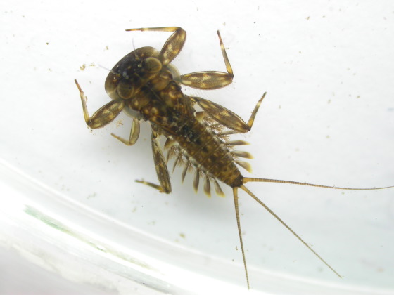 Katalog-2 Kopie | 5.23